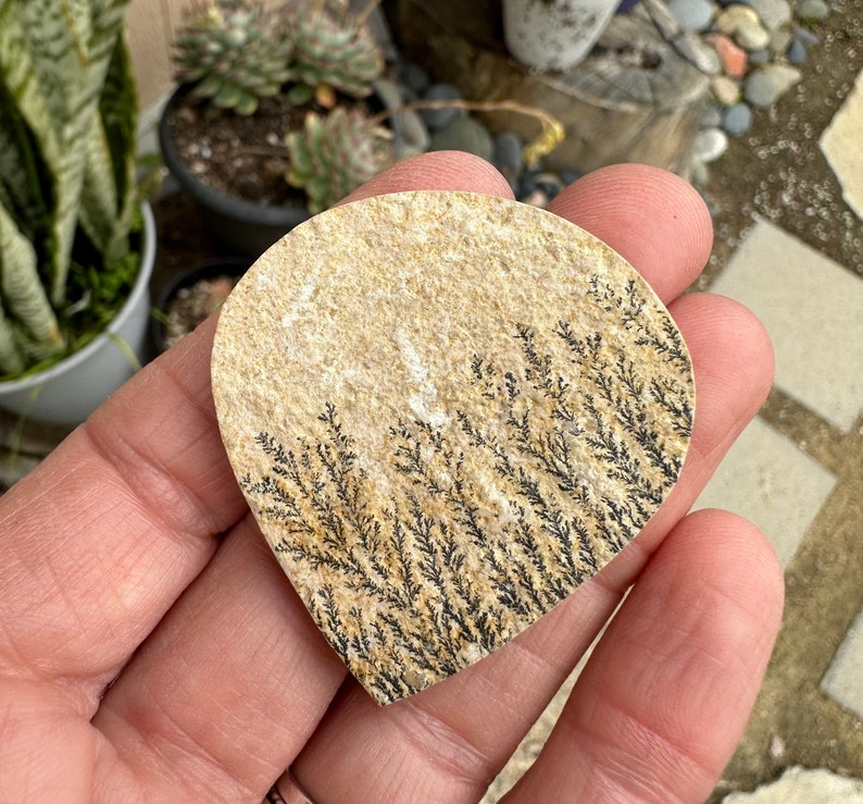 HUGE Dendritic Limestone Cabochon. Teardrop Stones. Pear - Etsy