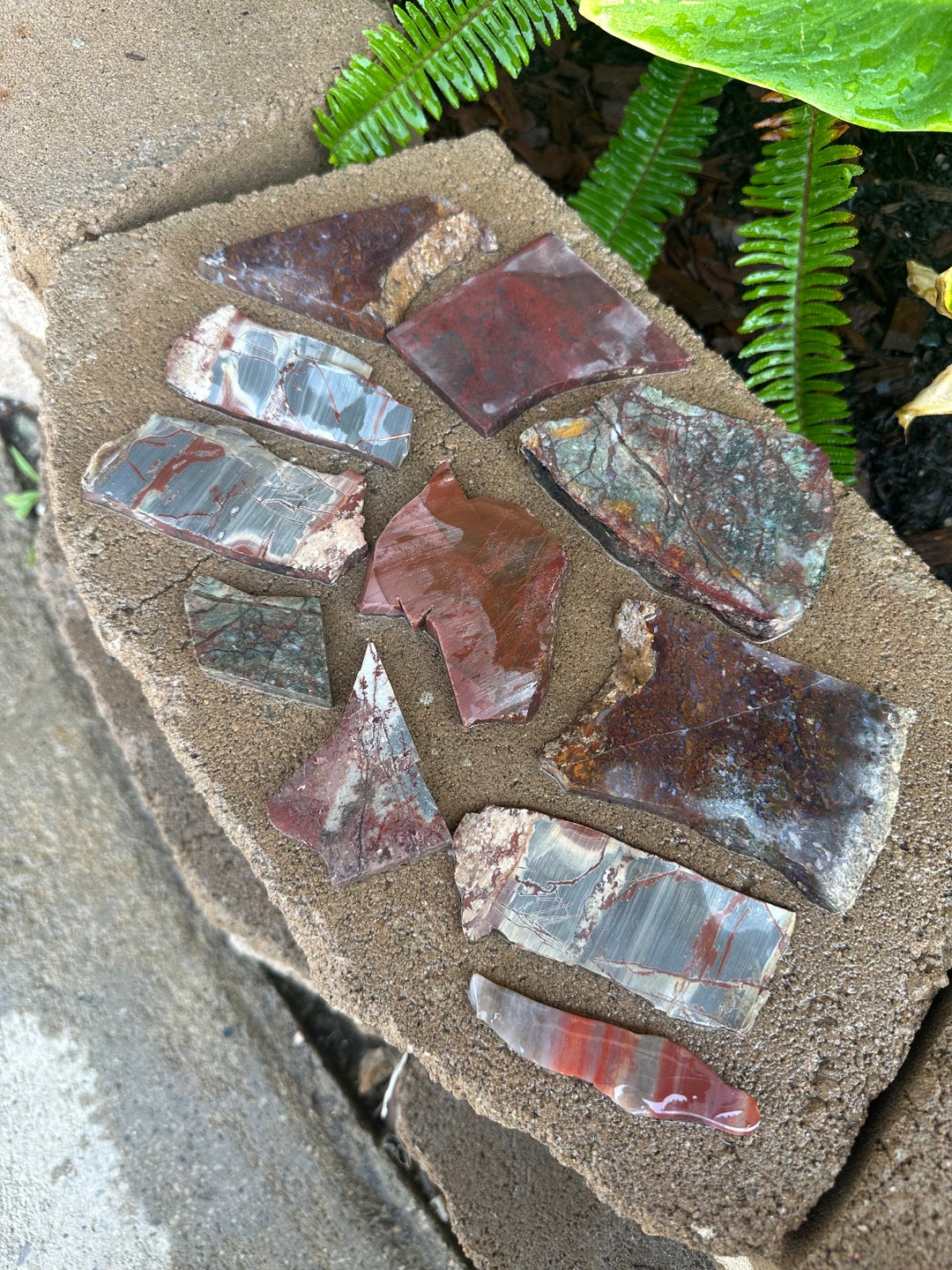 Lapidary Slab Lot. Rock Slabs. Mixed Slab Lot #16. Rock Hound. Bargain ...