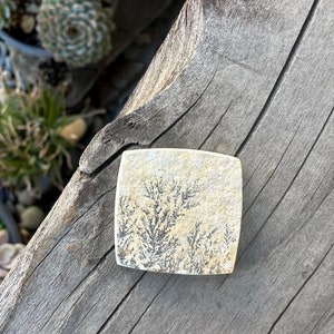 Dendritic Limestone Cabochon. Square Shaped Stone. Hand Cut Stones ...