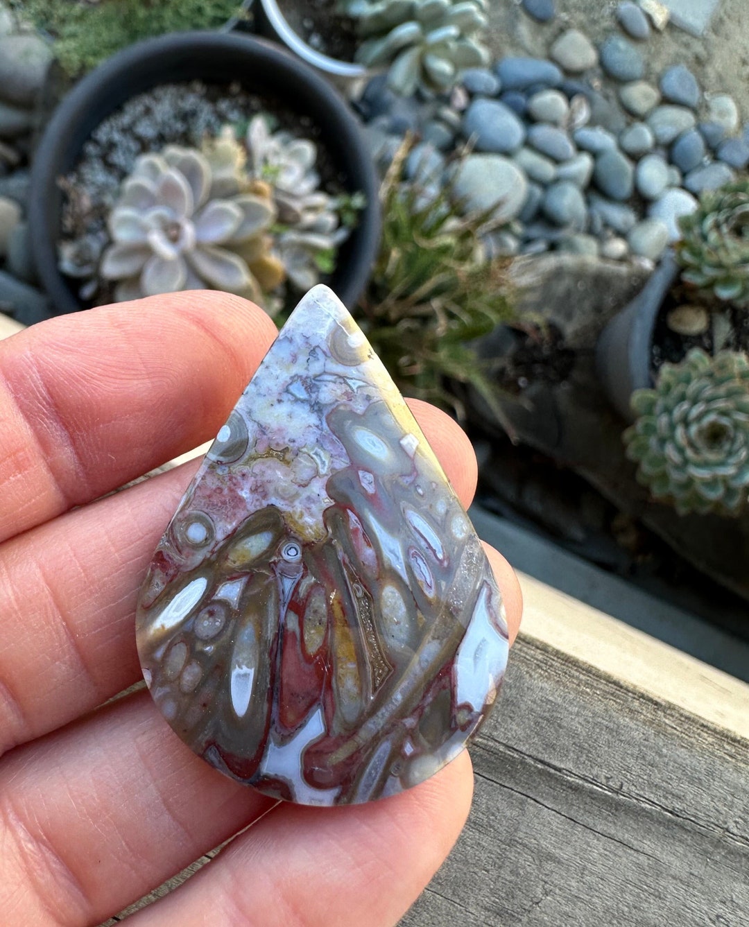 Huge AAA Fossilized Palm Root Cabochon. Fossilized Wood. Indonesian ...