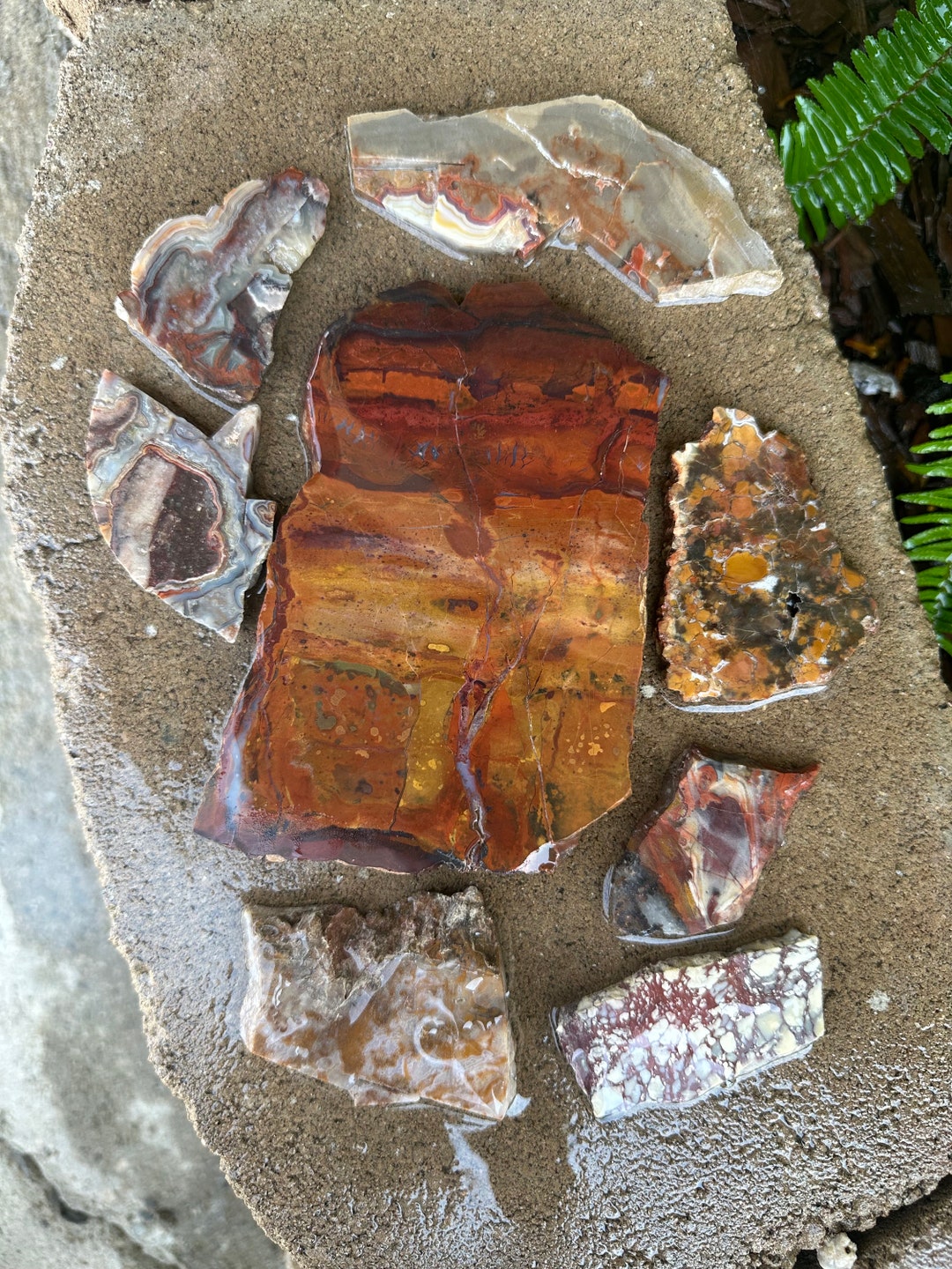 Lapidary Slab Lot. Rock Slabs. Mixed Slab Lot #15. Rock Hound. Bargain ...