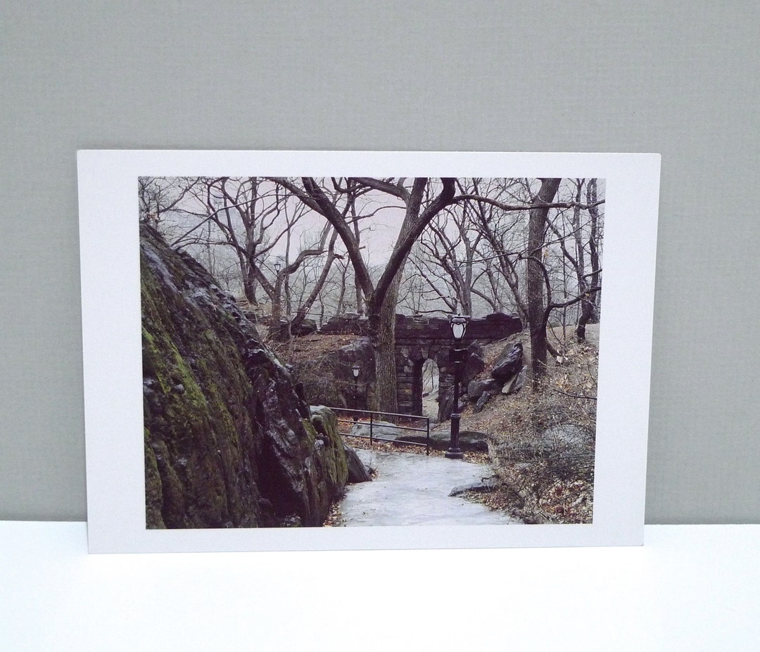 Central Park Postcard - Robert Burley / Icy Pathway, the Ramble 1993 ...