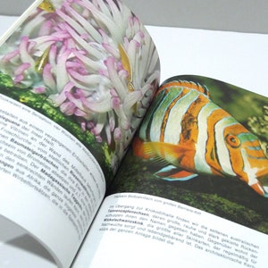 Wilhelma Zoo Stuttgart Guide Book & Foldout Map in German Plus Flyer ...