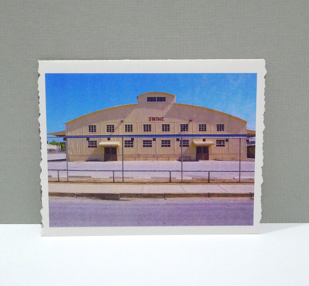 Swine Barn Building Ft Worth Tx Blank Notecard 1990s Vintage Hogs and ...