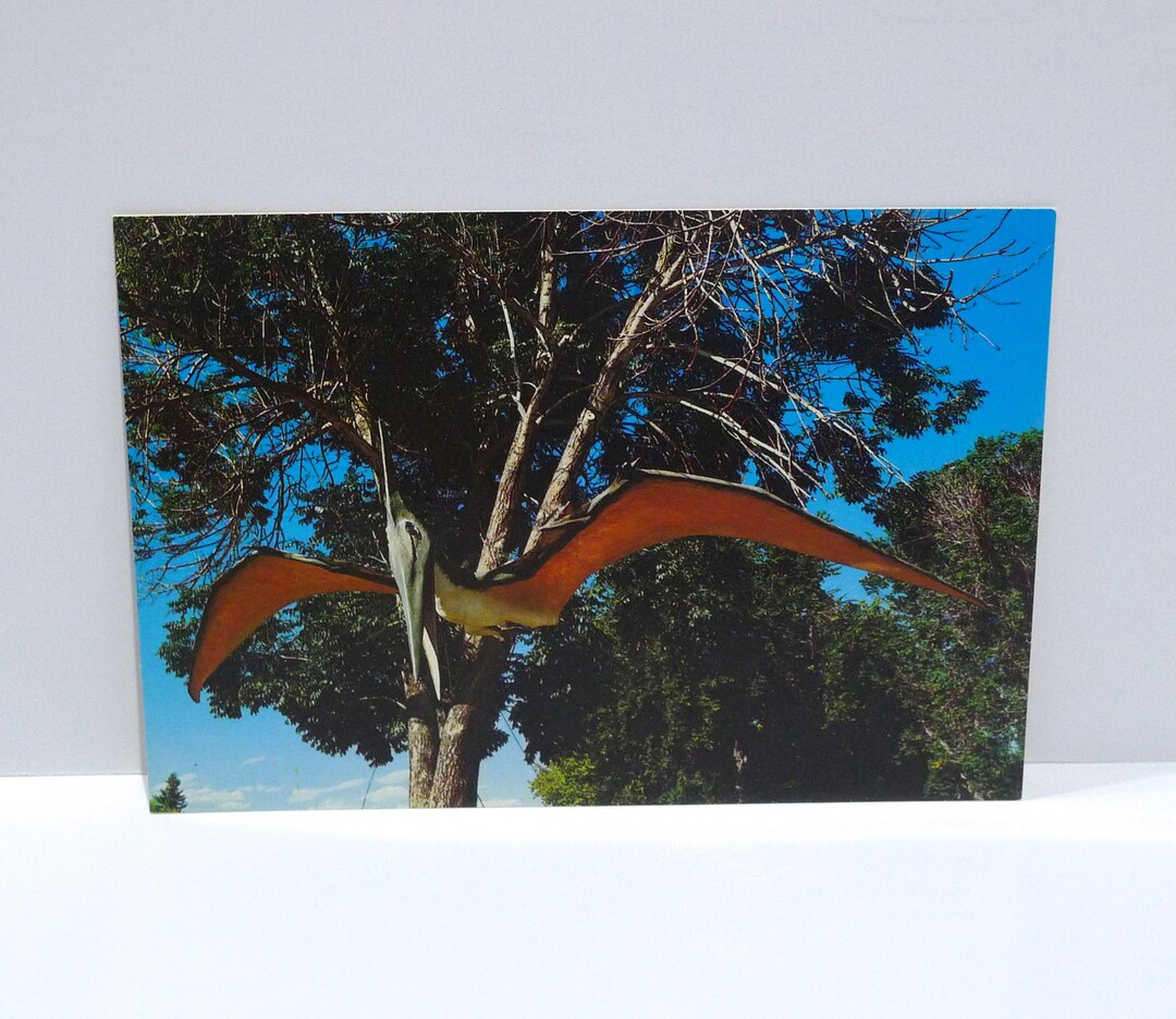 Pteranodon Postcard - Dinosaur Gardens Vernal Utah 90s Vintage ...