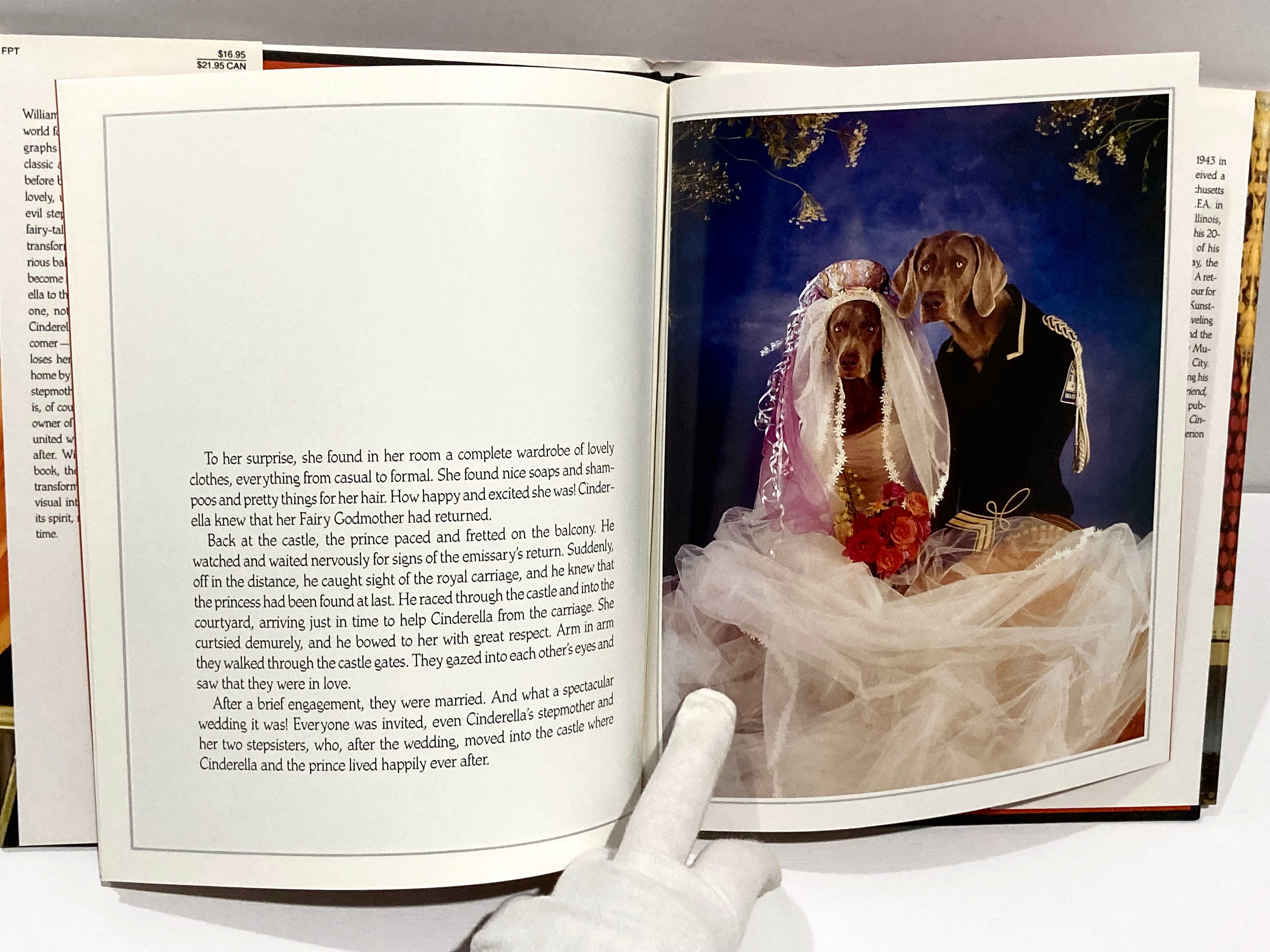 William Wegman Dogs Cinderella