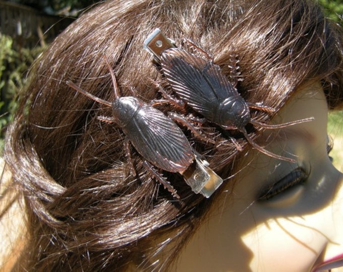 Awesome Cockroach Hair Clips - Etsy