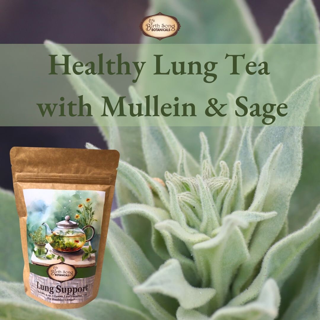 Herbal Lung and Respiratory Support Tea to Clear Mucus and Detox the ...