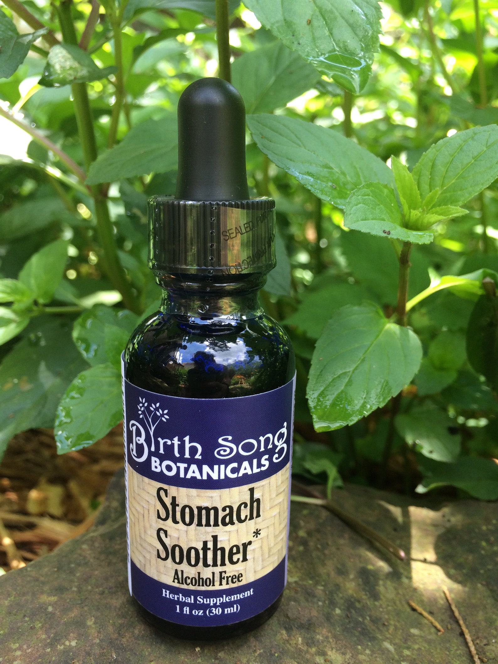 Stomach Soother Herbal Digestive Aid Tincture | Etsy
