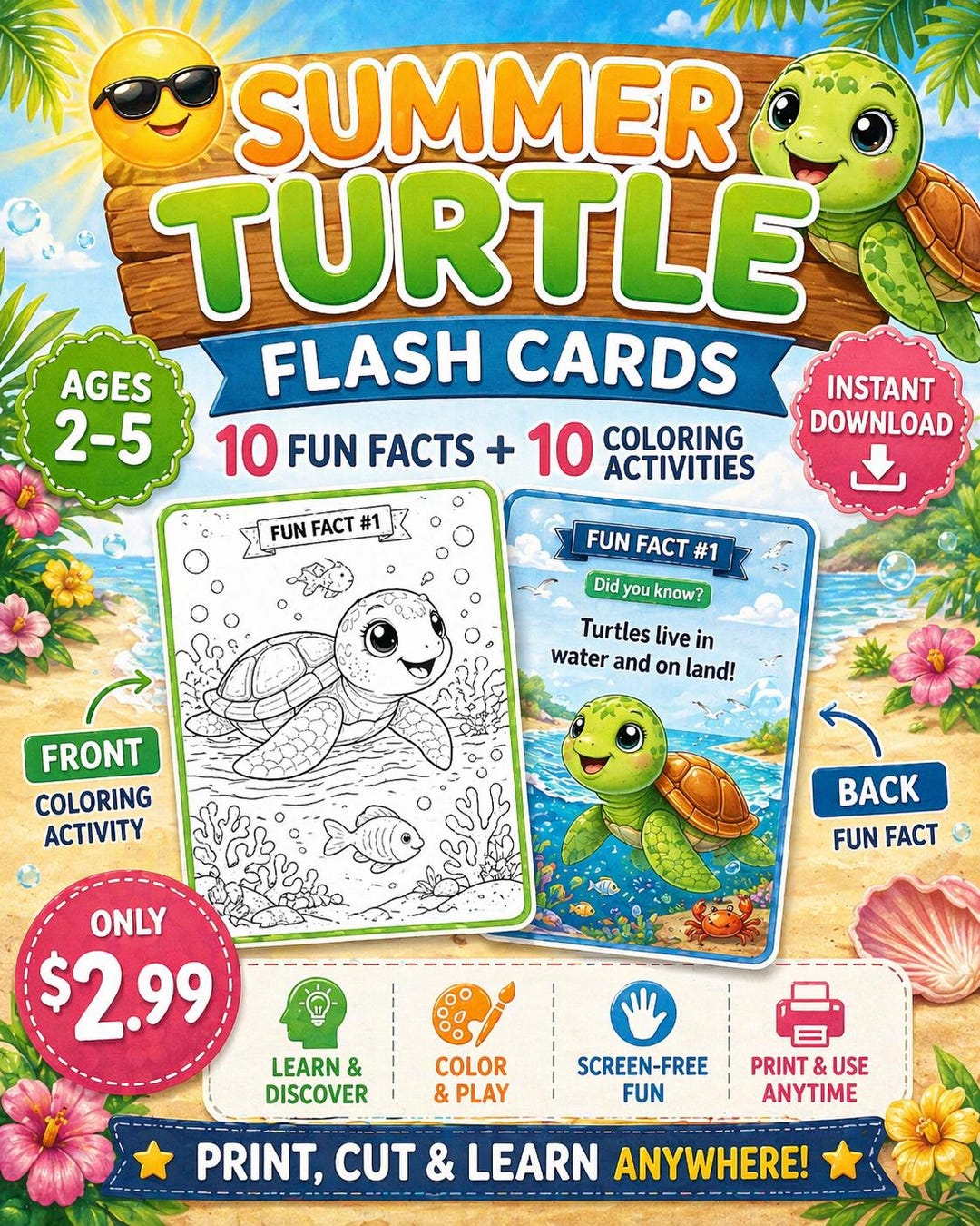 Turtle Flashcards Printable | Summer Fun Facts + Coloring Pages ...