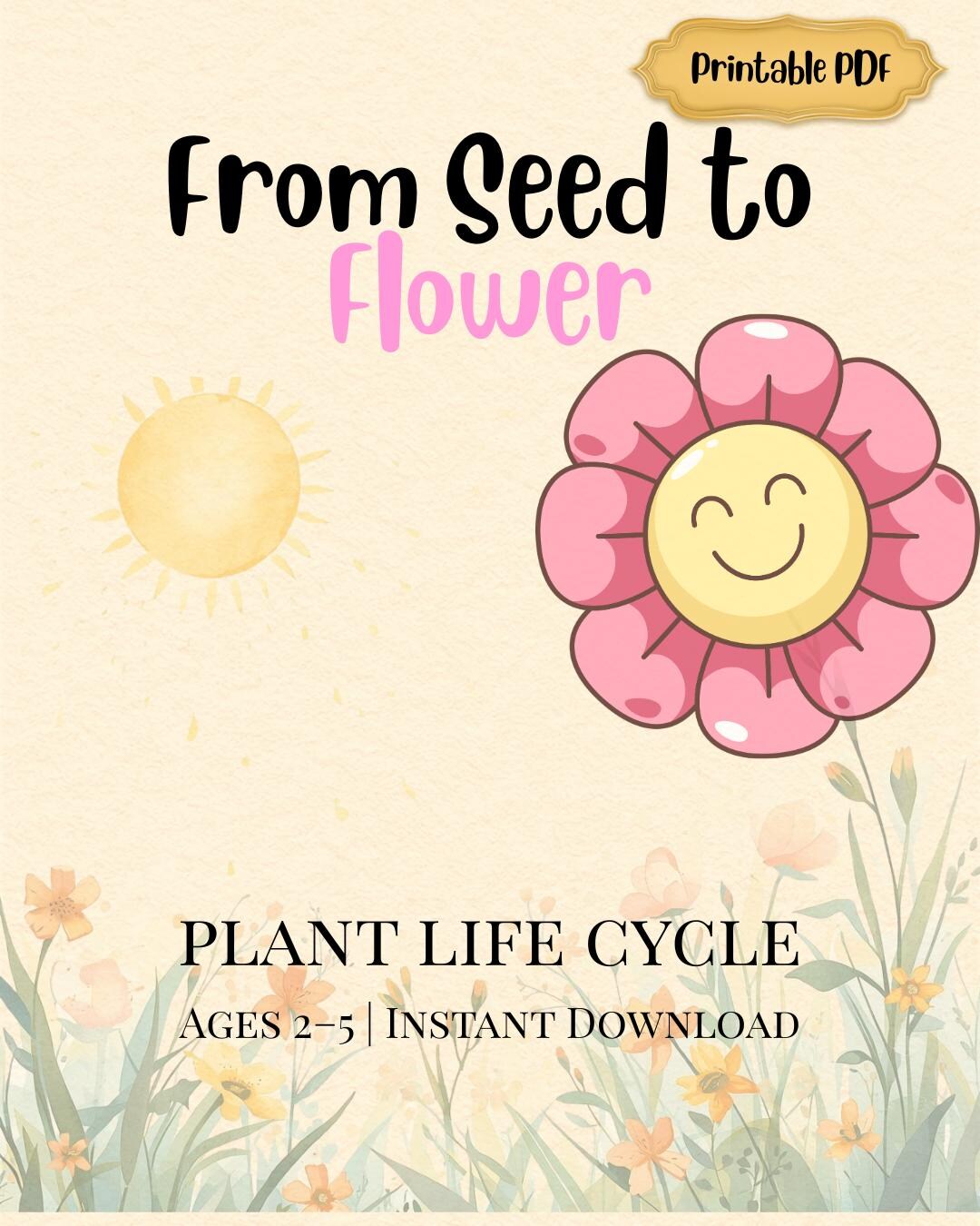 Plant Life Cycle Storybook | From Seed to Flower PDF | Preschool ...