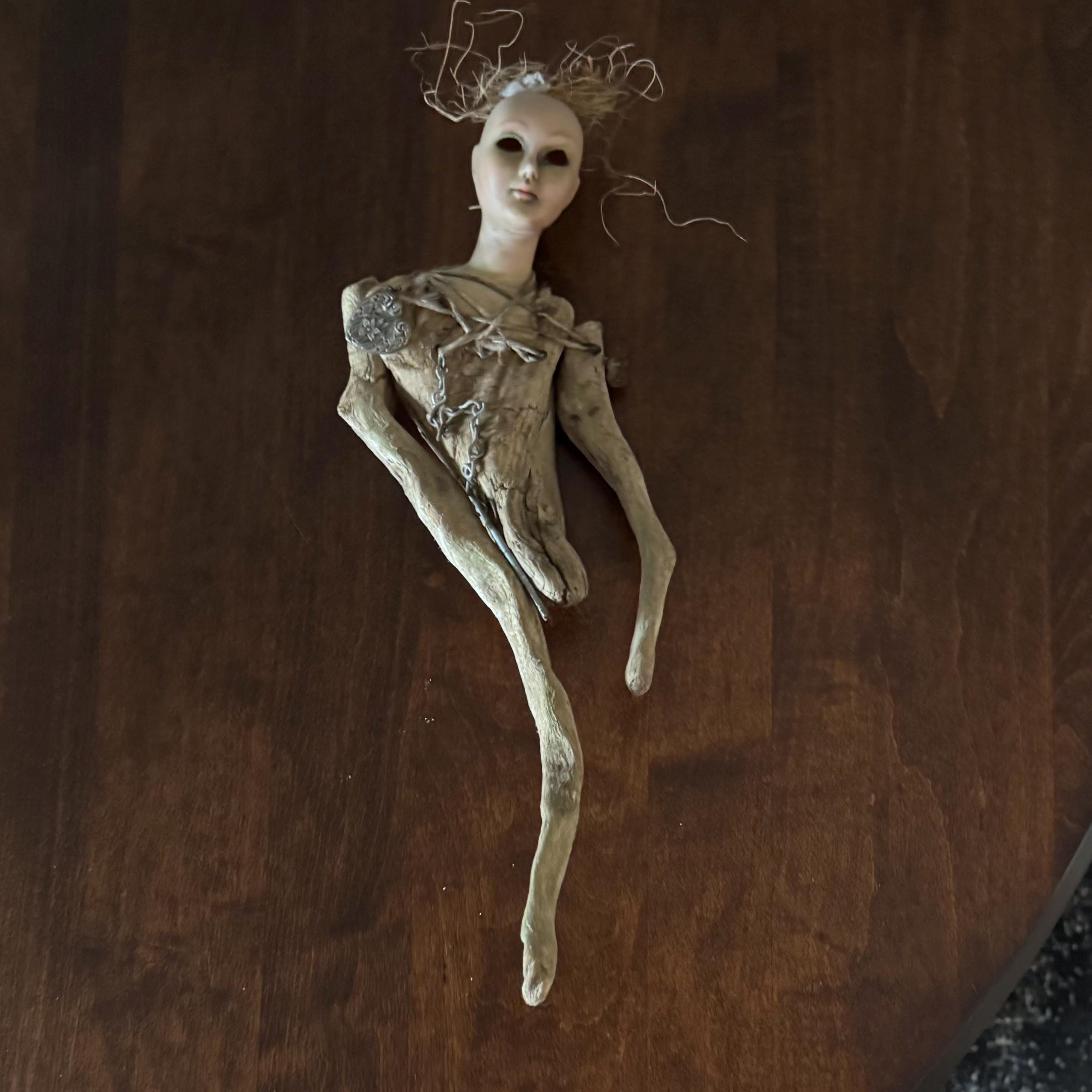 The Hollow - Eyed Heir Art Doll Taxidermy Assemblage Wall Art With ...