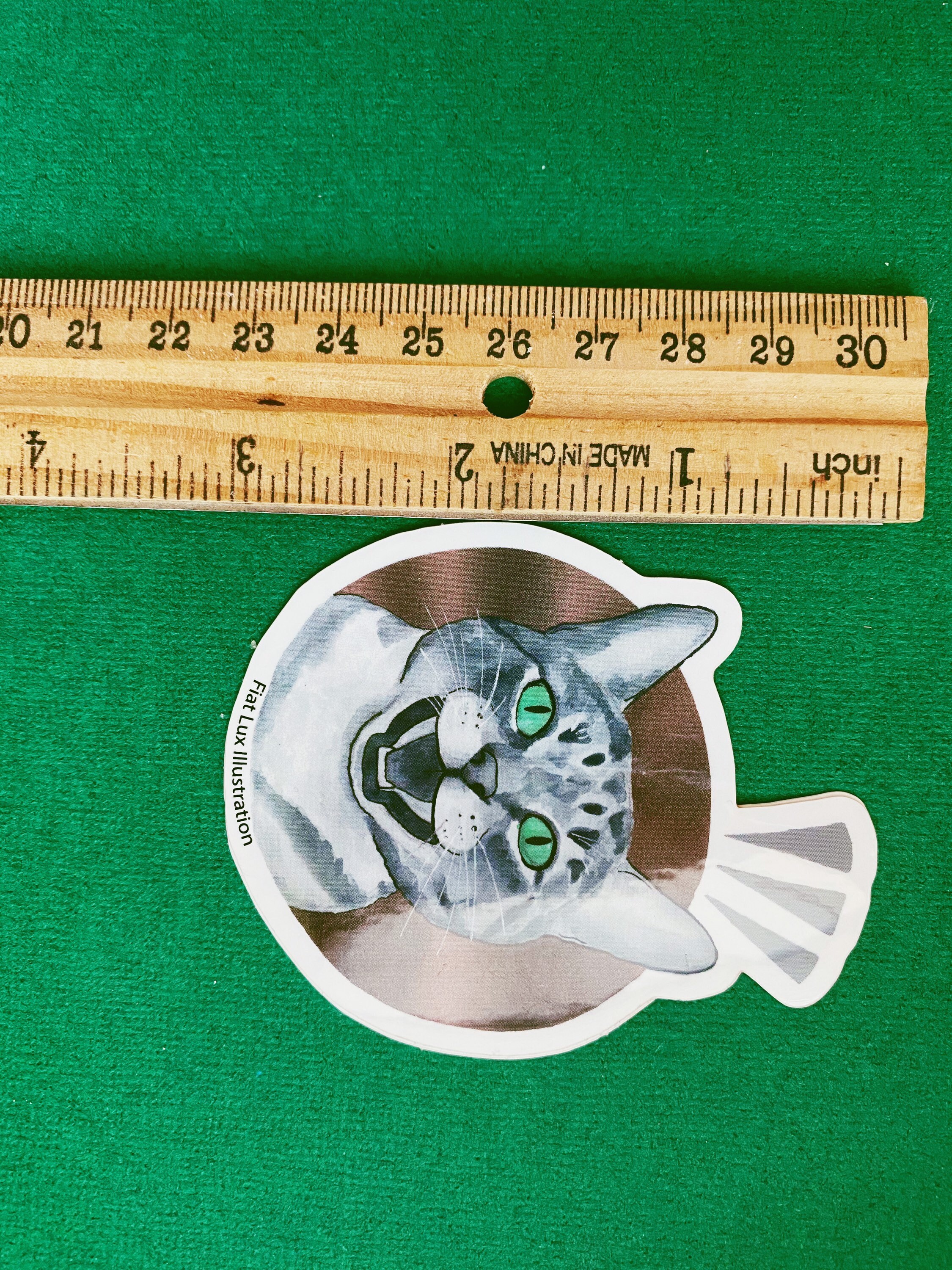 Excited Tabby Cat Bronze Vinyl Sticker Cat Art Cat | Etsy