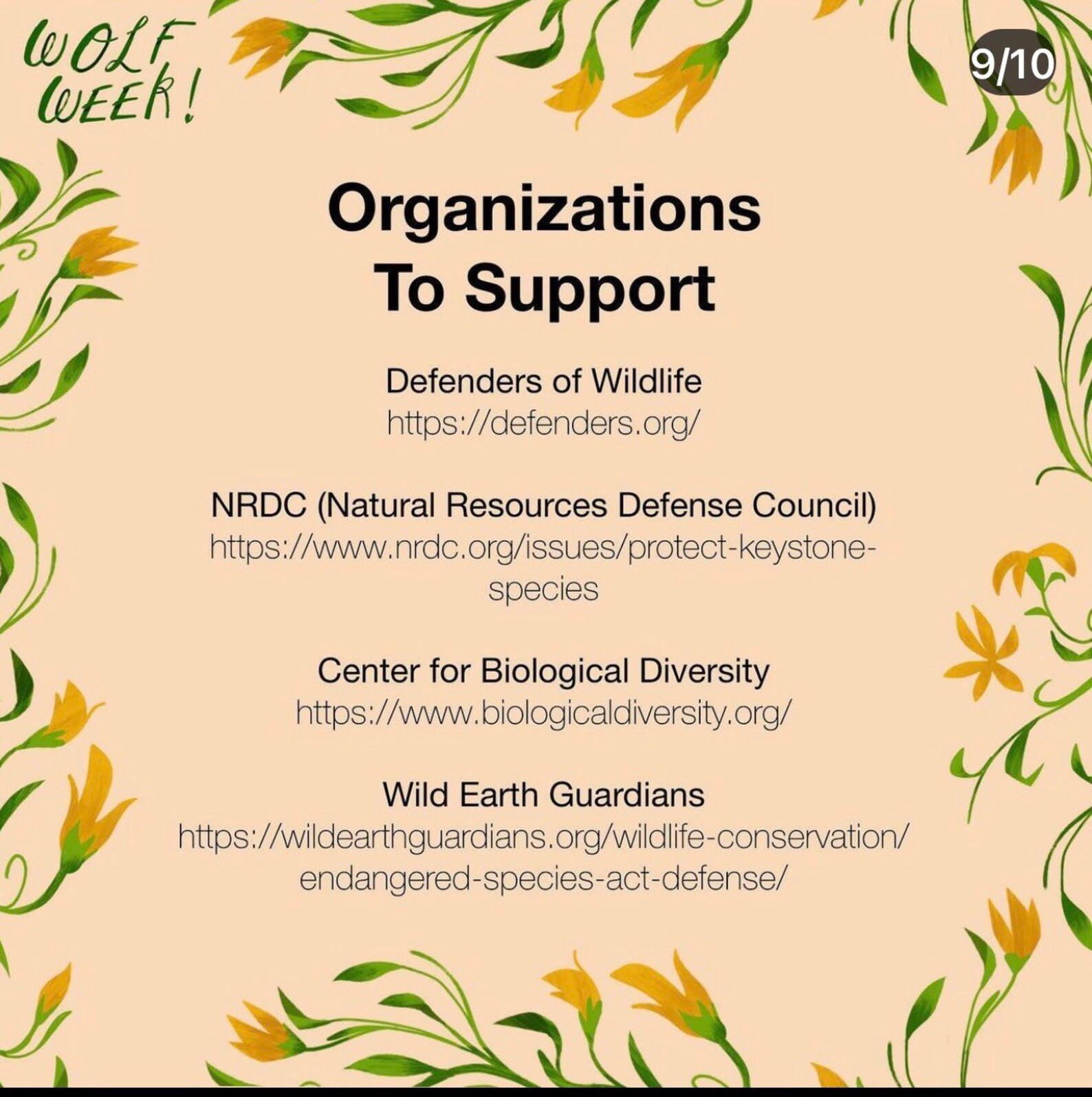 Wolf Week Charity Transparent Sticker Save the Wolves Retro | Etsy