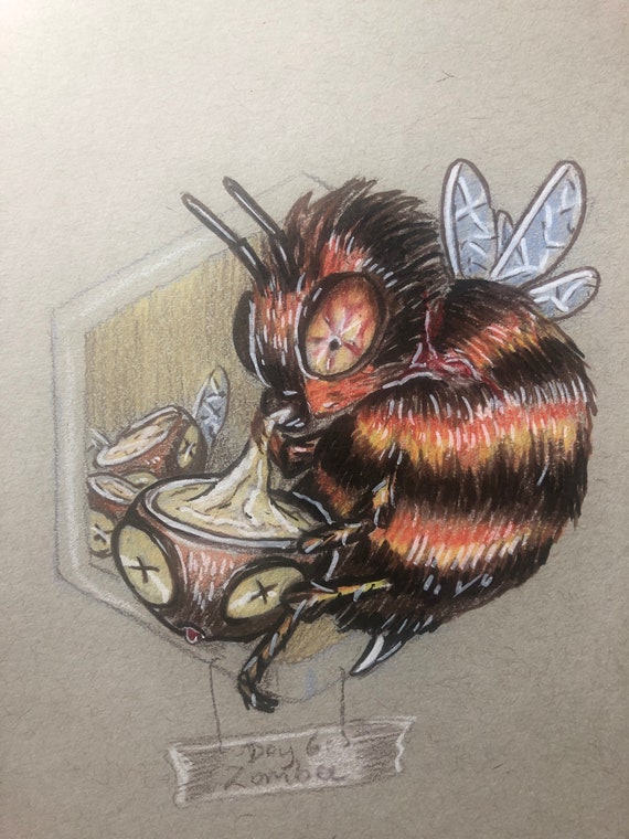 Killer Bee Insect Drawing