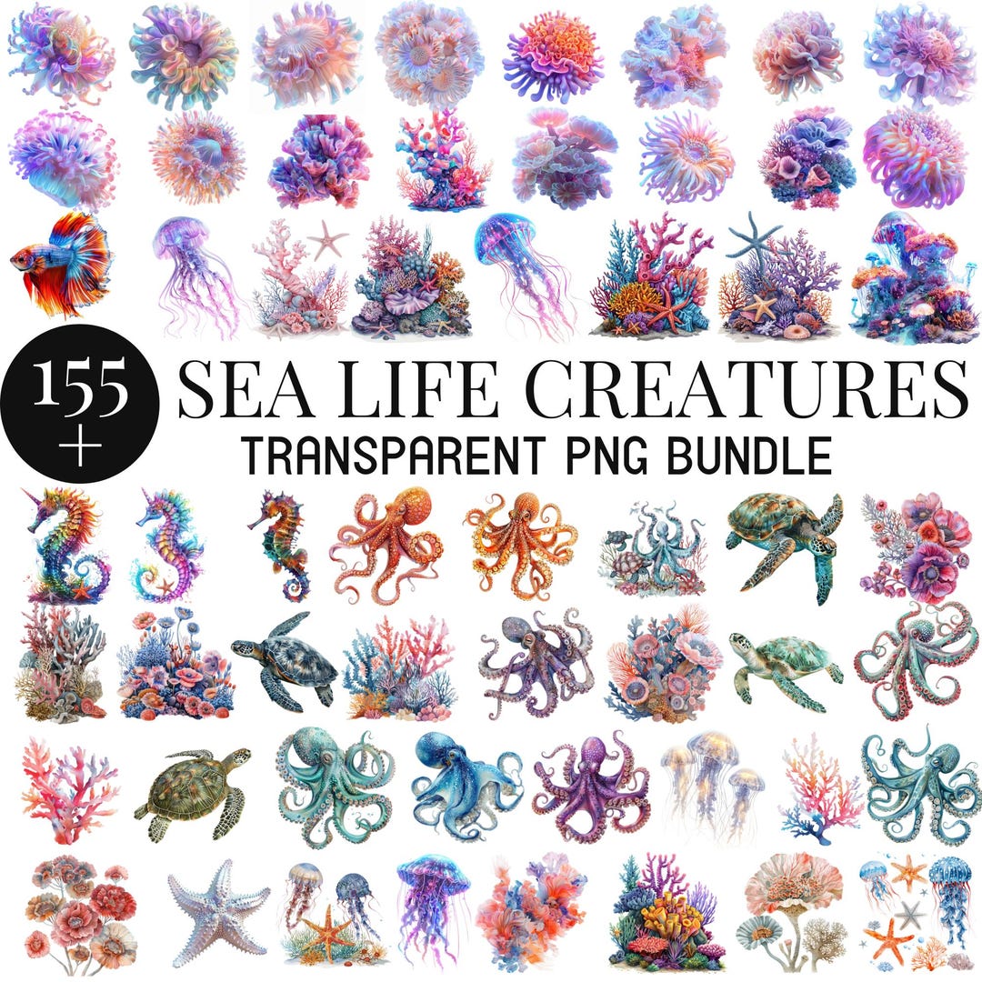 155+ Sea Life Clipart Bundle, Cute Marine Animals Png, Ocean Animal ...