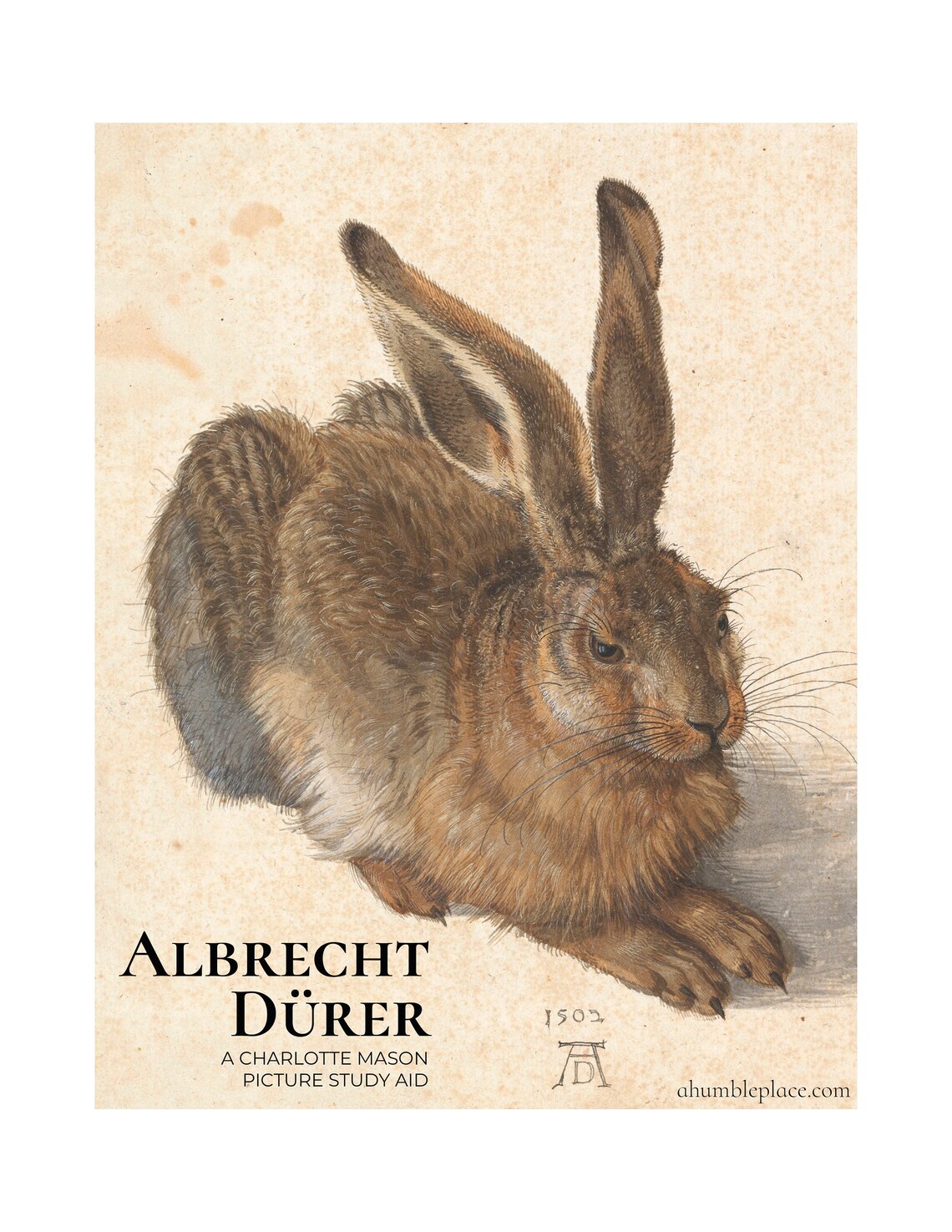 Albrecht Dürer Picture Study Aid PDF (with Printable Art) - Etsy