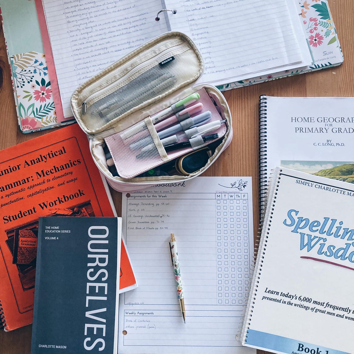 Printable Homeschool Assignments/chores Chart - Etsy