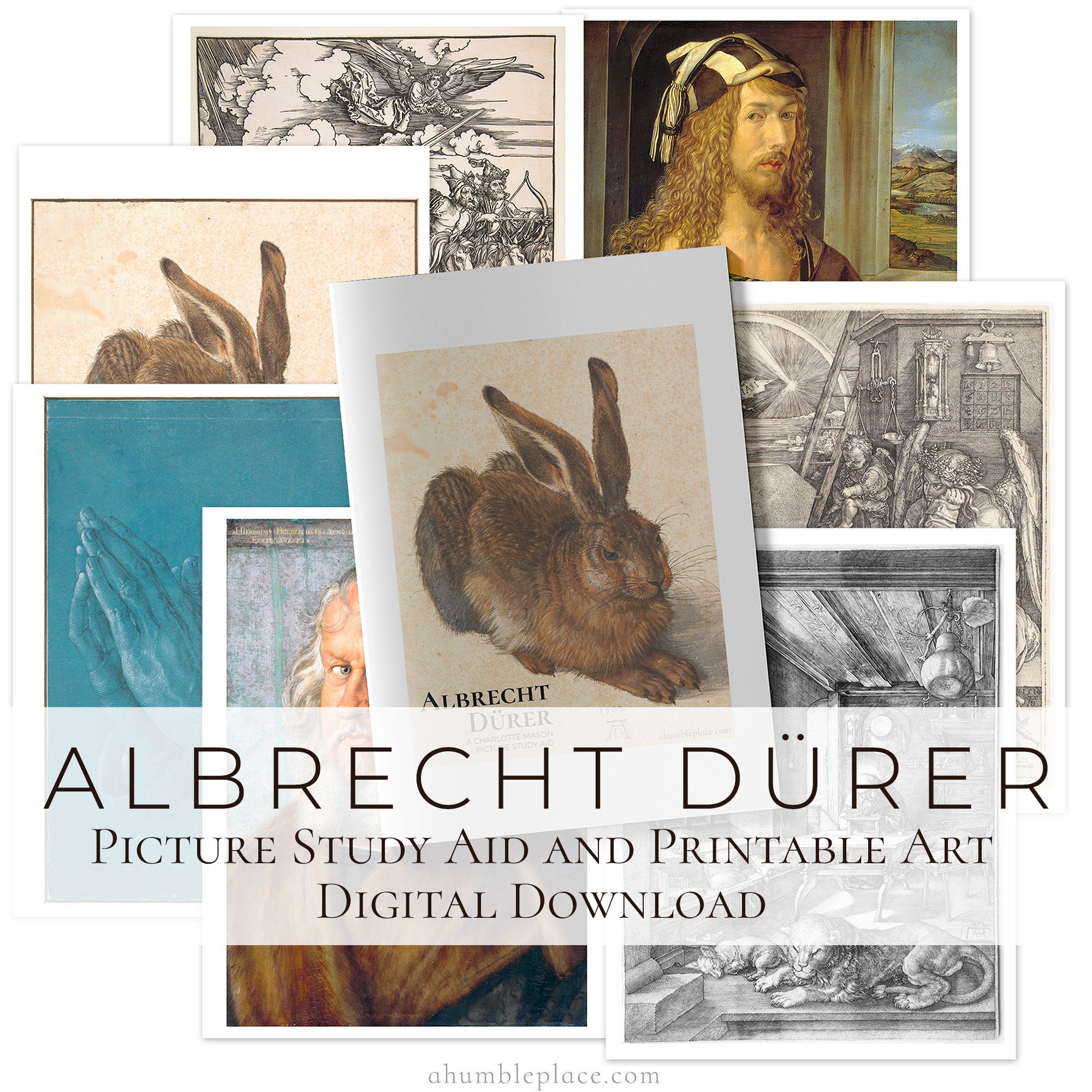 Albrecht Dürer Picture Study Aid PDF (with Printable Art) - Etsy
