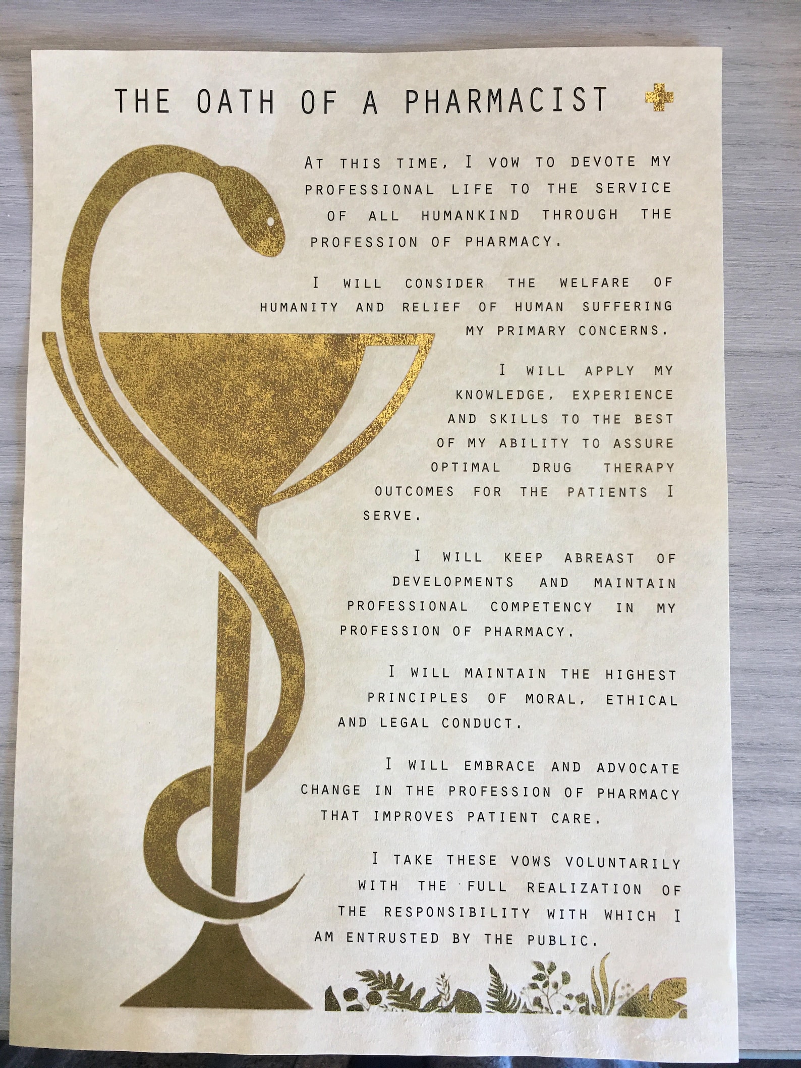 Oath of a Pharmacist Gold Pharmacist Gift Pharmacist Print - Etsy Australia
