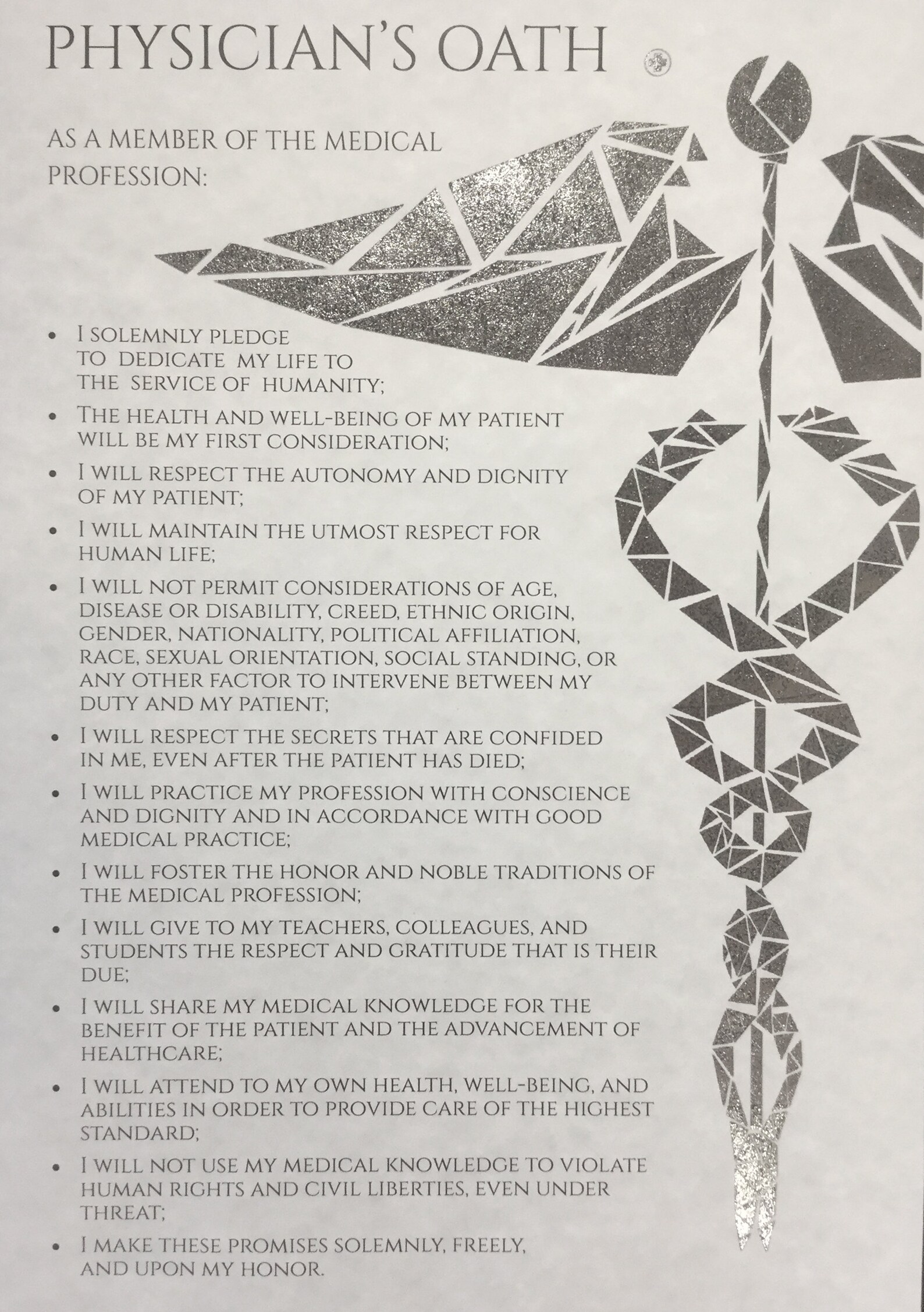 The Declaration of Geneva Physician's Oath Silver | Etsy