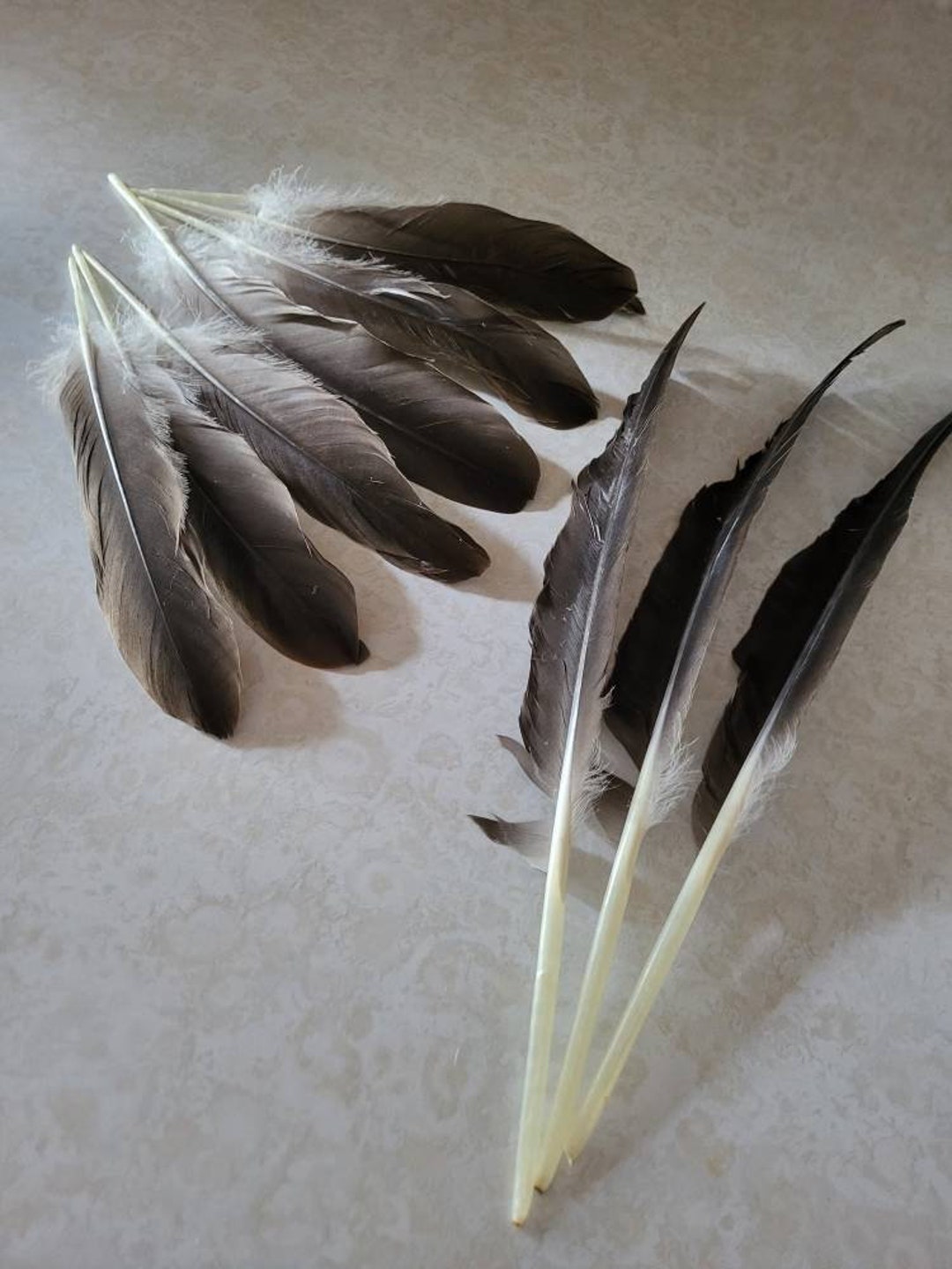 10 Canadian Goose Wing Feathers great for Making Fishing - Etsy