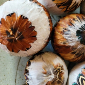 Nine 9 Multi-bird and Pheasant Feather Decor Balls. NOT Hanging ...
