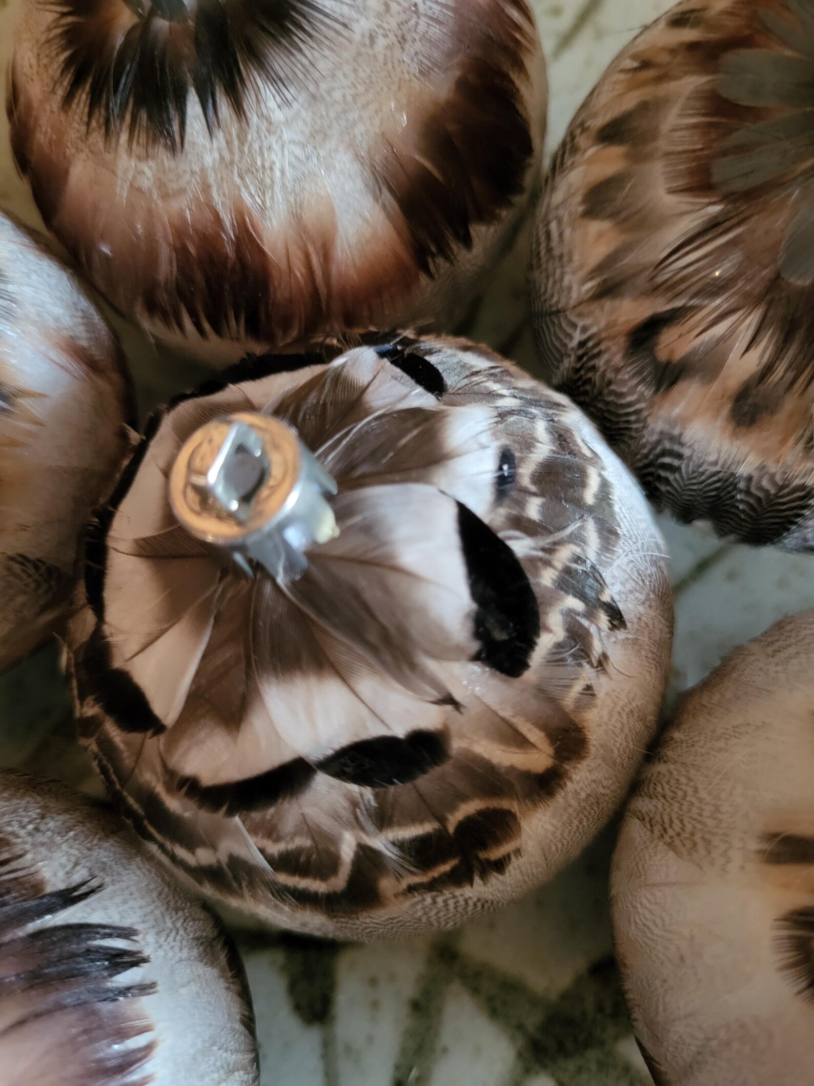 NEW! ALL Mallard Duck!!! 6 Balls (70 Mm) Duck Feathers Hanging ...