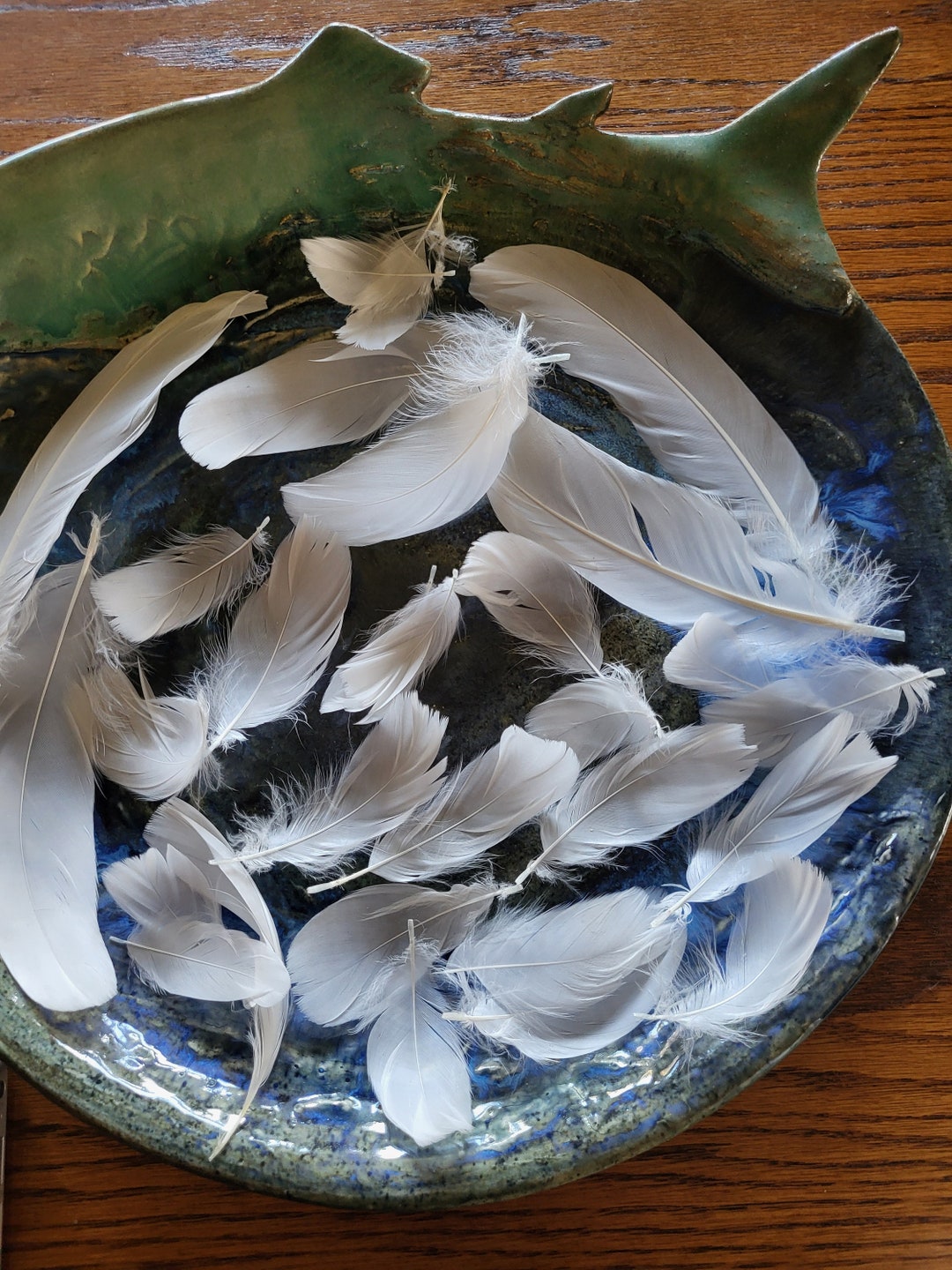 25 Snow Goose Feathers --great for Making Fishing Lures (2 1/2 to 7 ...