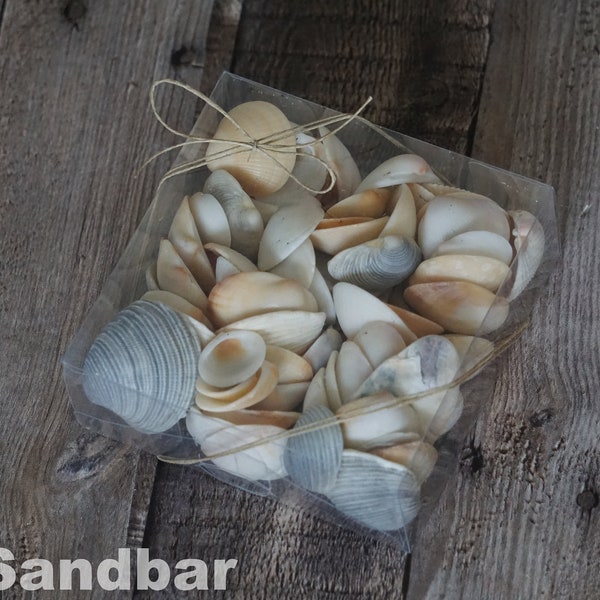 Seashell Collector Box - Etsy