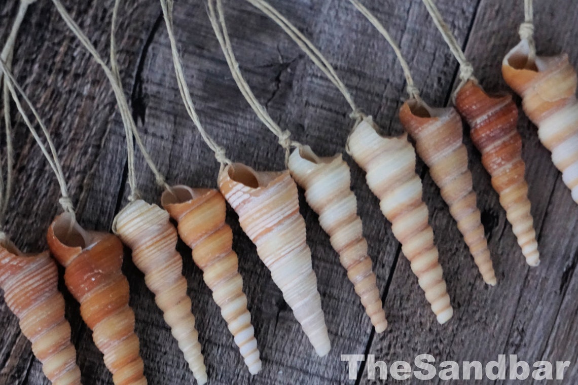 Seashell Ornaments Gift Set of 10 Strands Natural Shell | Etsy