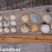 Seashells With Holes Cruelty Free Seashell Mix Beads Natural Hole ...