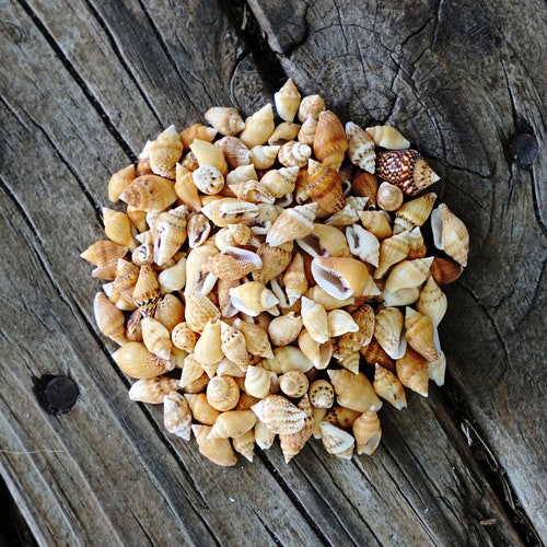 Ocean Art Sea Art Beach Art Print Tropical Watercolor Wall Art | Etsy