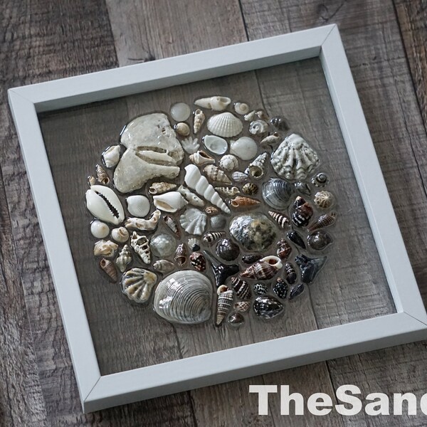 Sand Dollar Art - Etsy