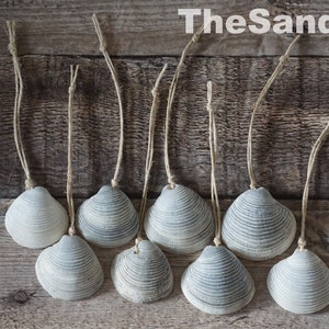 Gray Shells With Holes Textured Seashell Mix Beads Natural - Etsy