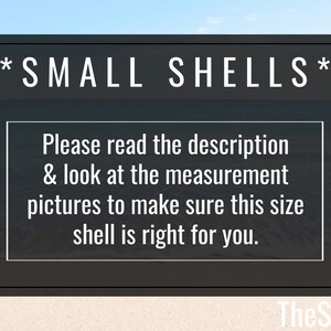 White Seashells 10 500 Small Wedding Clam Shells Cardium Ribbed Cockle ...