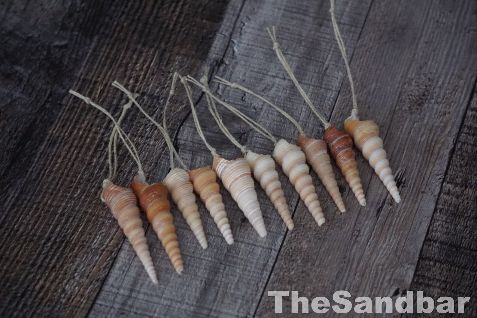 Seashell Ornaments Gift Set of 10 Strands Natural Shell | Etsy