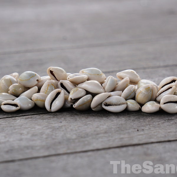 Cowrie Shell Ring - Etsy