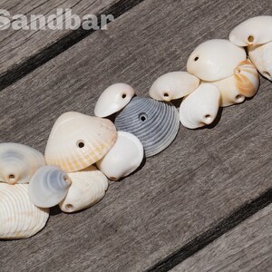 Seashells With Holes Cruelty Free Seashell Mix Beads Natural Hole ...