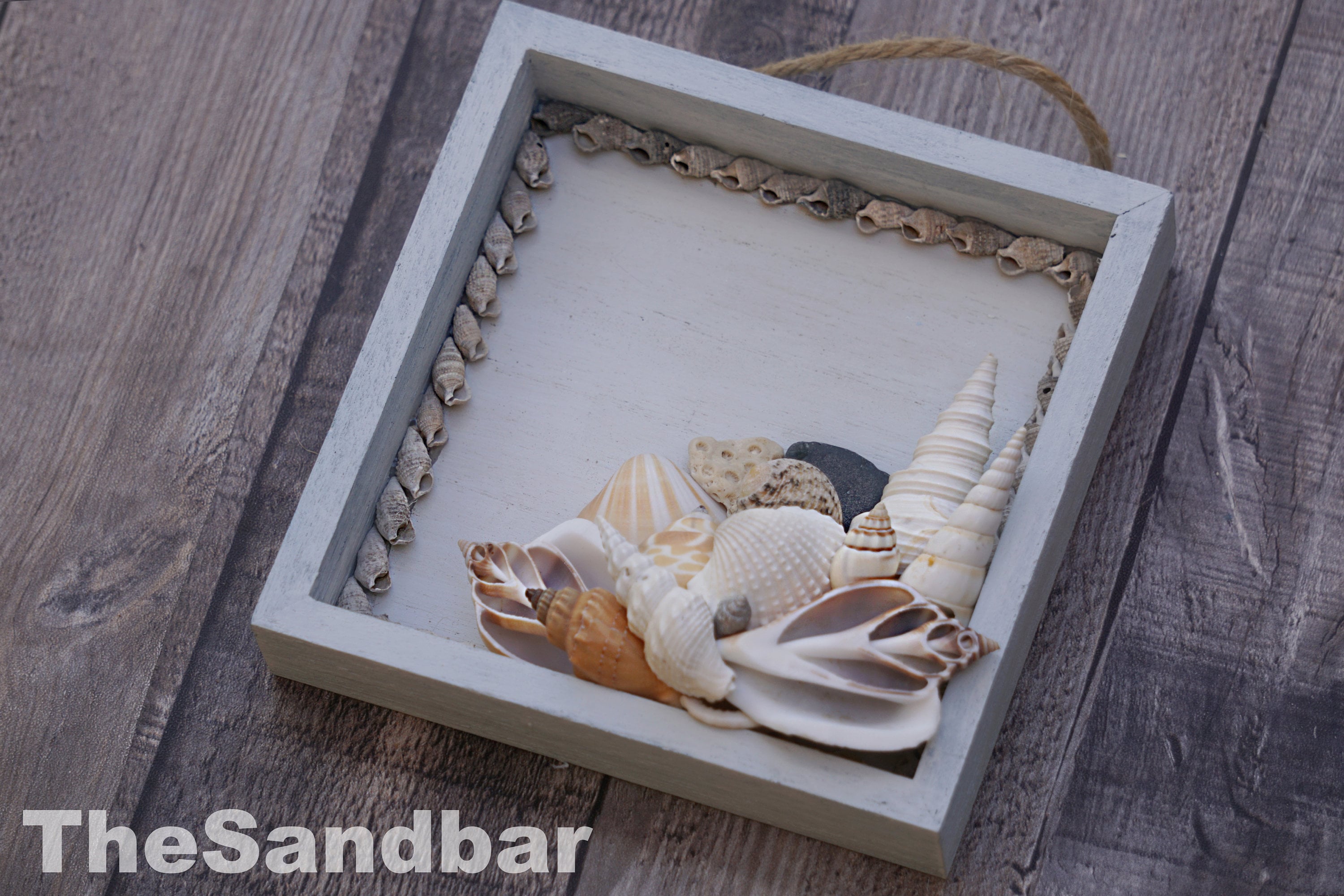 Seashell Shadow Box Craft