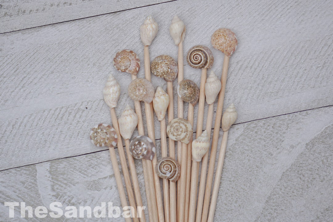 Seashell Toothpicks Hors D'oeuvres Picks Charcuterie Appetizer Cocktail ...