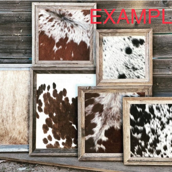 Cowhide Decor - Etsy