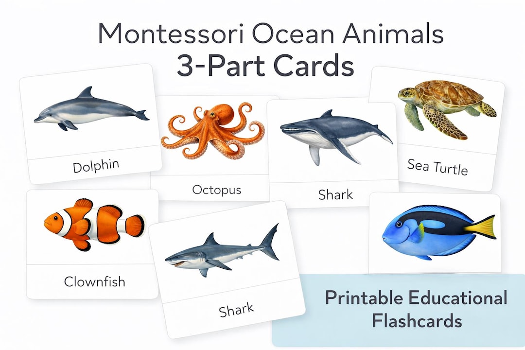 Montessori Ocean Animals 3-part Cards, Realistic Flashcards (digital ...