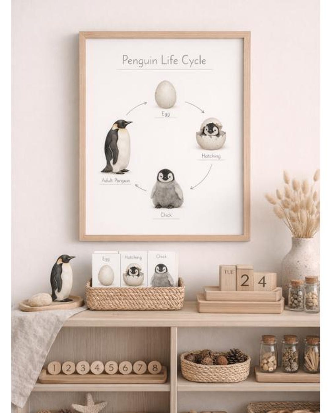 Penguin Life Cycle Poster, Montessori Science Homeschool Chart ...