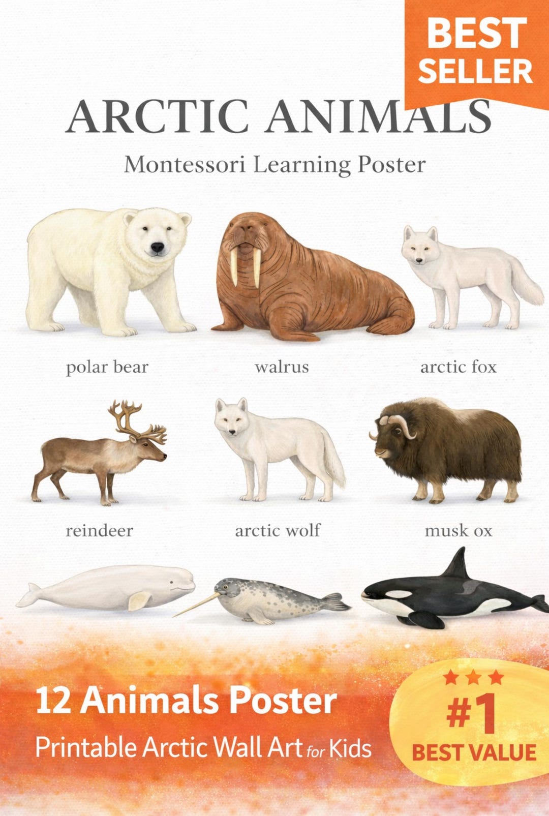 Montessori Arctic Animals Poster, Watercolor Educational Print (digital ...