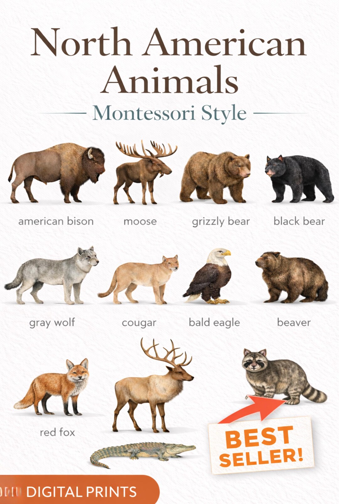 North America Animals Educational Poster, Montessori Classroom Art ...