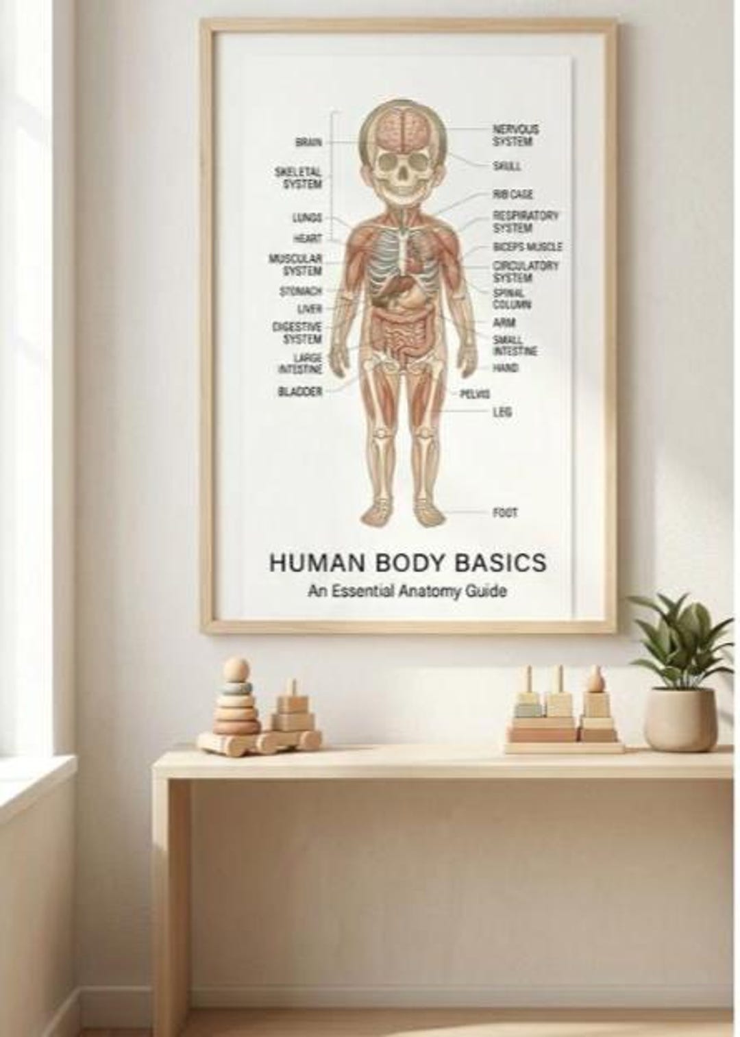 Montessori Human Body Poster, Kids Anatomy Science Print, Homeschool ...