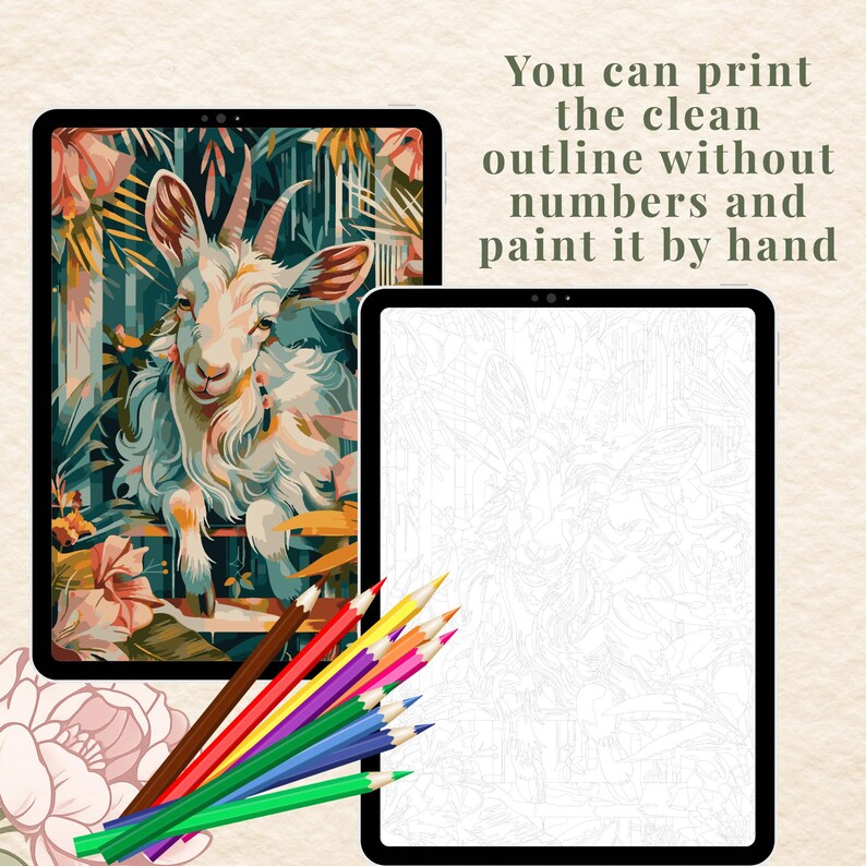 Goat Paint by Numbers for Adults, Color by Number, Coloring for Adults ...