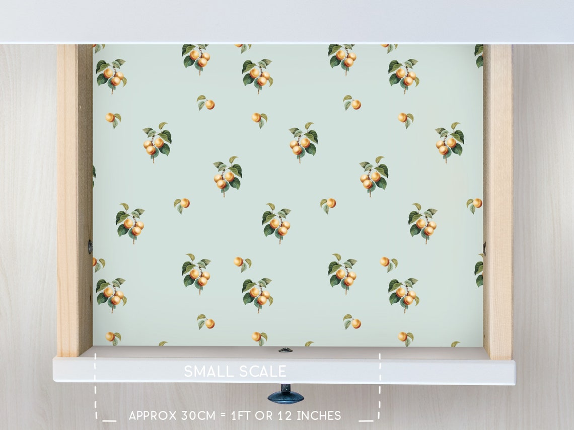 Apricots on Eggshell Blue Drawer Liner Paper Pale Green | Etsy