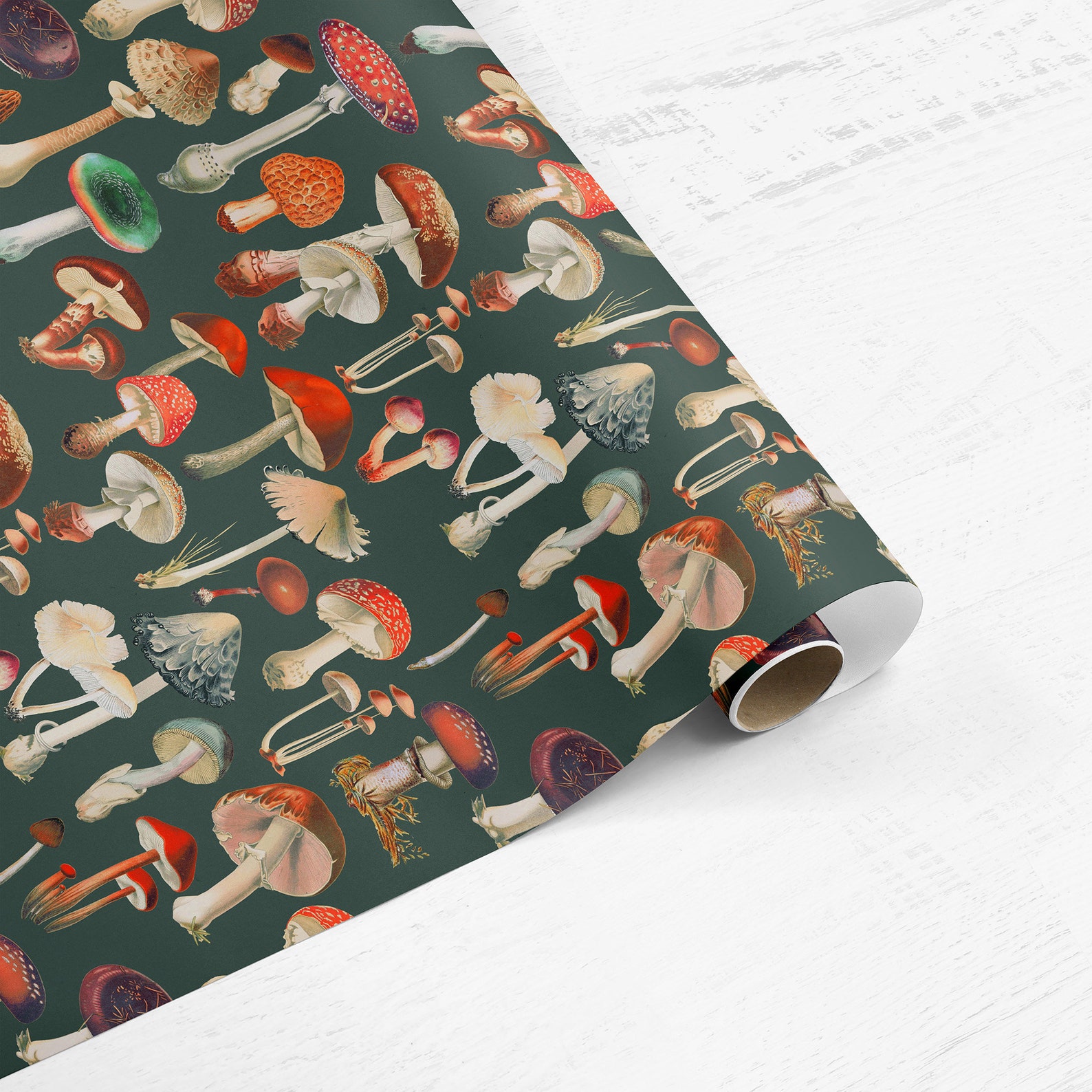 SAMPLE Vintage Botanical Drawer Liner Wallpaper - Etsy